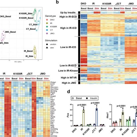 Kinase And Domain Dependent Roles Of Ir In Gene Expressions A