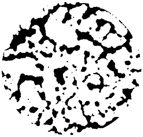 How Can I Count The Number Of Colonies And The Number Of Cells In Each Colony ResearchGate