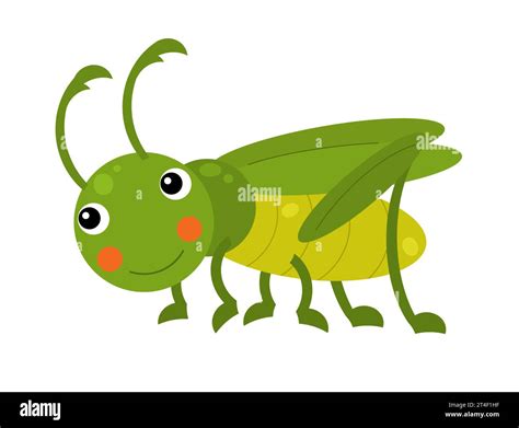 Cartoon Animal Grasshopper Hopper On White Background Illustration For