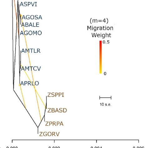 Maximum Likelihood Tree Constructed In Treemix Based On 977 Snp Markers