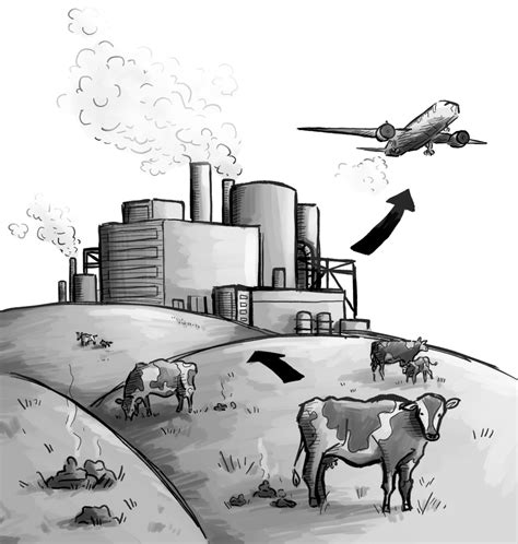 Sustainable Aviation Fuel Prepares For Takeoff In Wallula Gap Whitman