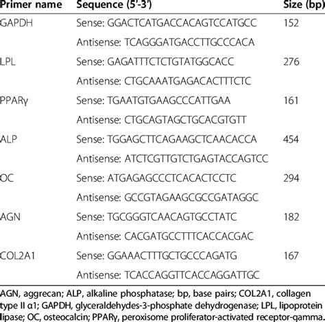Reverse Transcription Polymerase Chain Reaction Primer Sequences