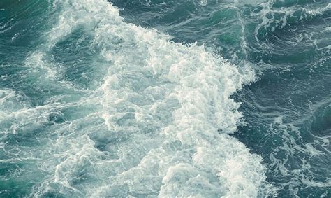 Events And Webinars Next Generation Sequencing Element Biosciences