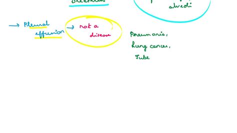 A Collection Of Air In The Pleural Cavity Often Resulting In The Partial Or Complete Collapse