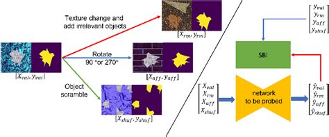 figure 1 from convolutional neural networks rarely learn shape for semantic segmentation