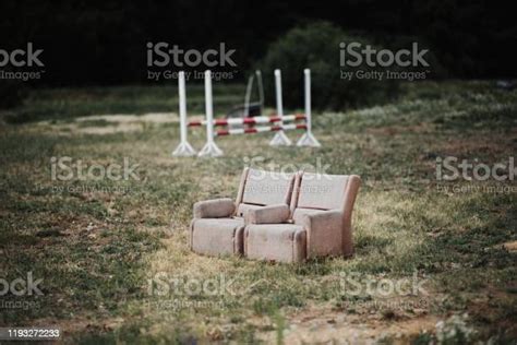 개념 사진 회색 수제 좌석이있는 나무 안락 의자가 말 훈련 코트에 서 있습니다 0명에 대한 스톡 사진 및 기타 이미지 0명 가구 가을 Istock