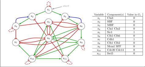 The Yeast Cell Cycle Model As Defined In 8 Green Arrows Denote