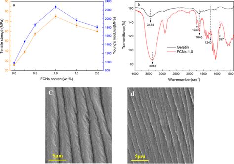 A Effects Of Fcns Content On The Performance Of Fcnsgelatin Gel Films