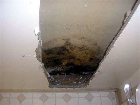 Mold In Walls Is Extremely Common Mold Awareness