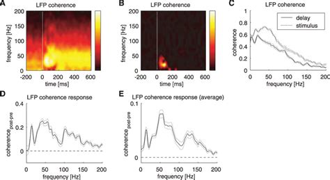 Lfp Coherence Response A Time Course Of The Coherence Between Two Download Scientific Diagram