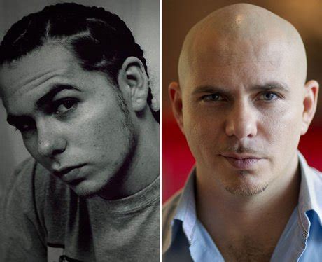 Pitbull With Hair