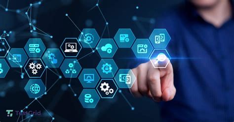Selenium Vs Scriptless Test Automation Point Comparison