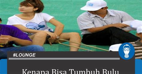 Apa Fungsi Dan Penyebab Tumbuh Bulu Di Pantat Hotcopas
