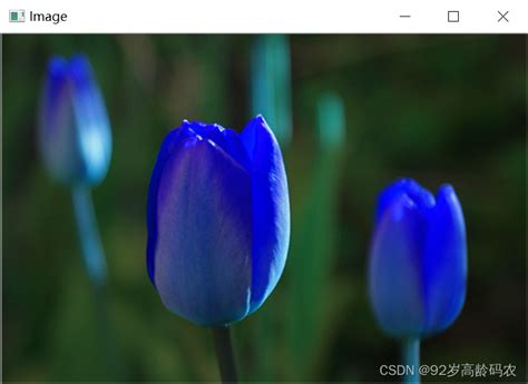 Opencv快速入门：初探 Csdn博客