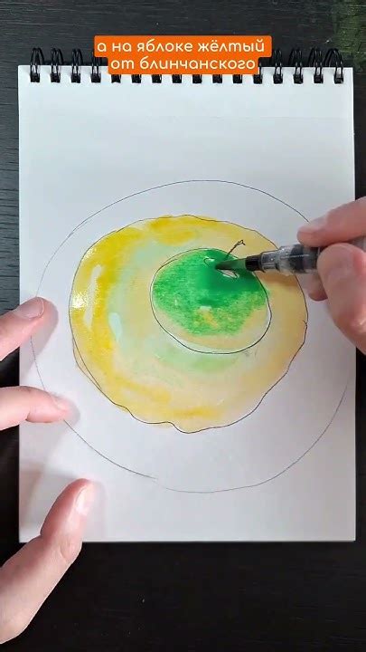 Блинчики и рефлексы. Масленичное видео 3 - YouTube