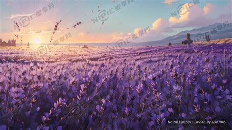 Ai创作图薰衣草 昵图网