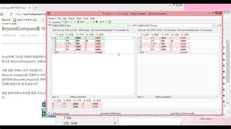 Excel 파일 비교하기2 Beyondcompare 이용하기 Youtube