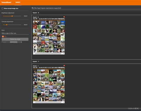【pytorch笔记】第五篇 Torchvision，dataloader，nnmodule的使用output Exceeds The