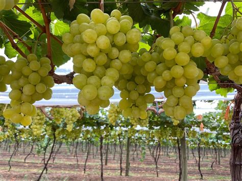 Simon Kamstra Posted On Linkedin