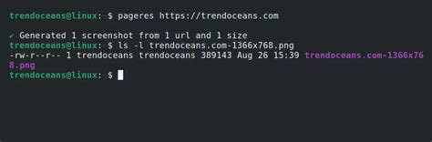 2 Ways To Capture Website Screenshots From The Command Line On Linux