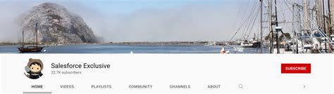 10 Most Popular Salesforce Admin And Developer Vlogs Salesforce Ben