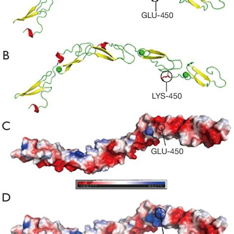 Pymol Representation Wireframe Diagram And Strands Of The Homology Download Scientific
