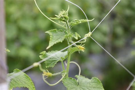 ទំព័រដើម អគ្គនាយកដ្ឋានវិទ្យុជាតិ