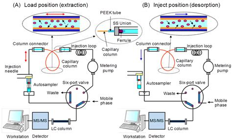 Liquid Chromatography Tandem Mass Spectrometry