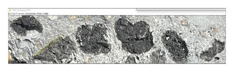 Roughness Measurements A Optical Microscopy Image B C SEM Images Download Scientific