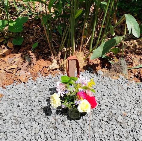 Ig สรยุทธ สุทัศนะจินดา ‘ไมโล เก็บเค้ามาเลี้ยงที่เขาใหญ่ตั้งแต่เค้ายังเล็ Instagram