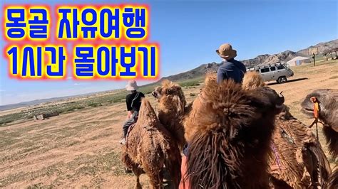 몽골자유여행 한시간 몰아보기 Youtube