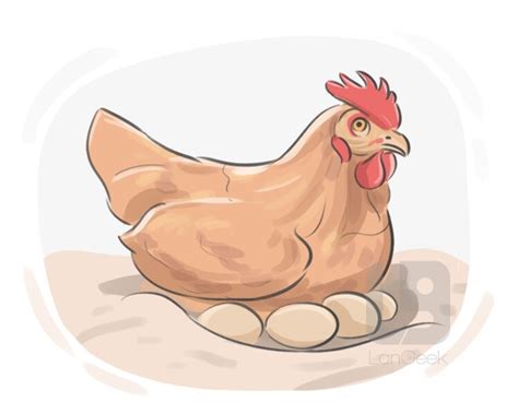 Definition And Meaning Of Hatch Langeek