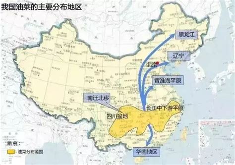 一图看懂中国农业产业分布 知乎