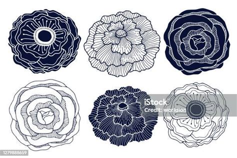 플로럴 실루엣과 리니어 아트 디자인 장미 말미잘 모란 꽃이 있는 인테리어 스티커 프린트 초대 카드 와 부티크 로고를위한 식물 꽃 장식 0명에 대한 스톡 벡터 아트 및 기타