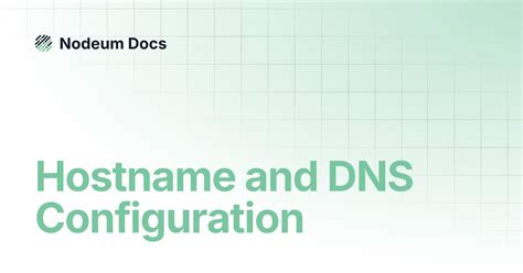 Hostname And Dns Configuration Nodeum Docs Hostname And Dns Configuration Nodeum Docs