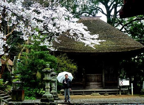 西明寺は益子町の郊外の獨鈷山とっこさん南斜面中腹にあります桜の花が満開の境内で心が癒されたひと時でした