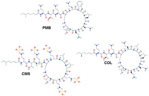 Structural Formulas Of Polymyxin B Colistin And Colistin Download Scientific Diagram
