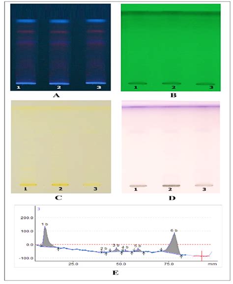 A TLC Chromatogram Under UV Light At Nm B TLC Chromatogram Under Download Scientific