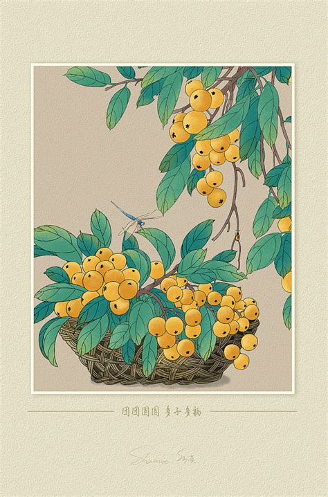 枇杷插画纱漠插画师作品涂鸦王国