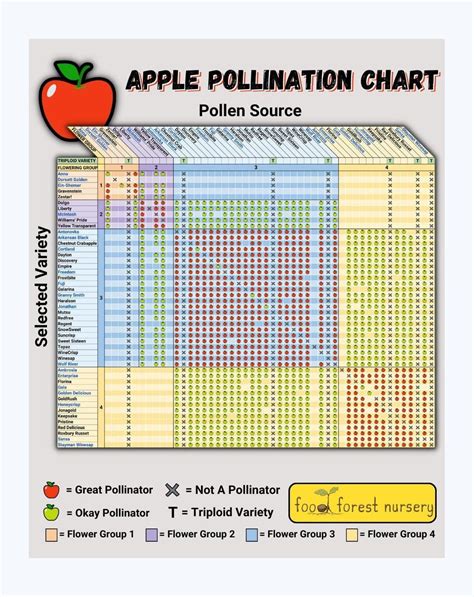 Apple Pollination Chart R Permaculture