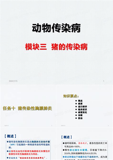 猪的传染病猪传染性胸膜肺炎ppt模板下载编号qroxmjww熊猫办公