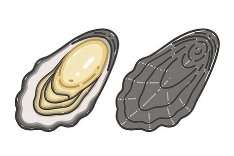 유토이미지 굴 생굴 석화 벡터 일러스트 세트