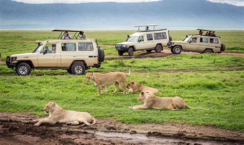 2 Days Ngorongoro Crater Safari Ngorongoro Conservation Area