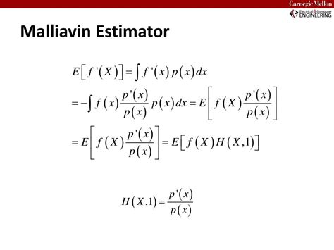 PPT From Particle Filters To Malliavin Filtering With Application To