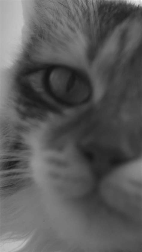 Cutebottomlessgirlsdancingonshortdresses Videos Download The Best Free 4k Stock Video