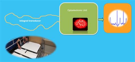 Schematic Illustration Of An Integral Specklegram Based Sensor For Download Scientific Diagram