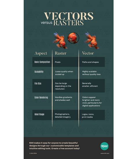 What Is A Vector File Svg Eps Ai And Pdf Explained