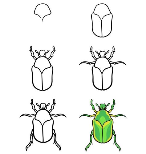 20 Easy Beetles Drawing Ideas Drawing Photos