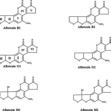 Aflatoxin Biosynthetic Pathway Courtesy The Biosynthesis Pathway Was