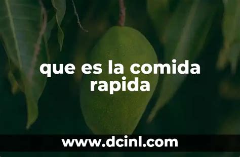 Que Es La Comida Rapida Ejemplos Concepto Guia